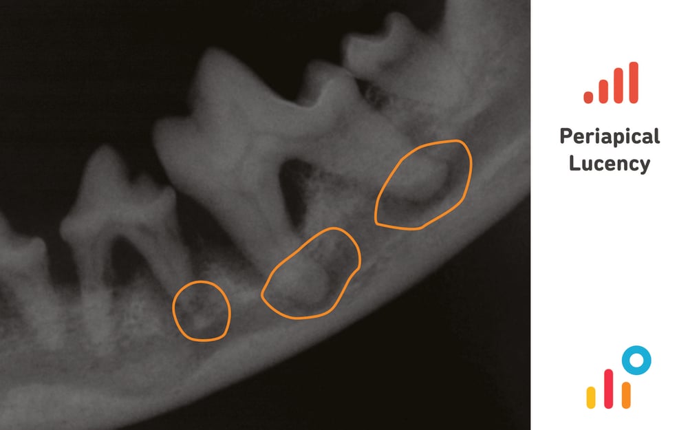 Better teeth, better health. A reason to SMILE.