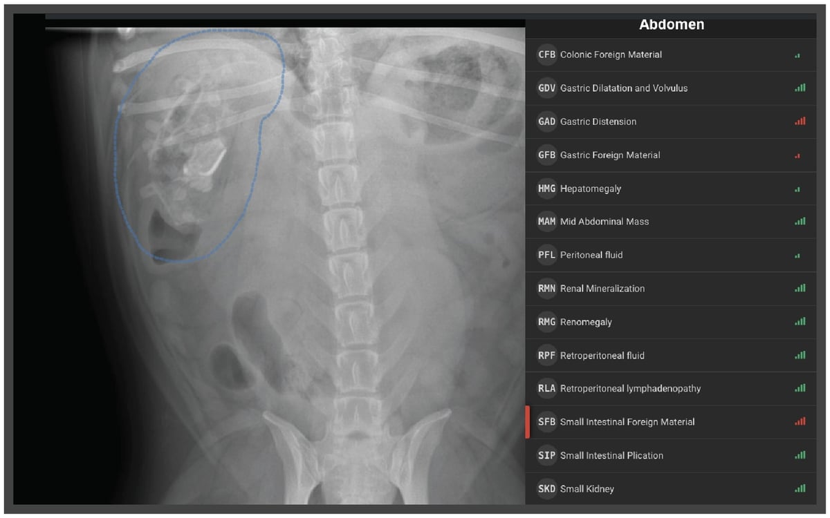 Radiology Case of the Week | Canine Gastrointestinal Foreign Body