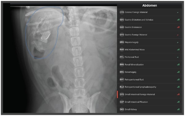 Radiology Case of the Week | Canine Gastrointestinal Foreign Body
